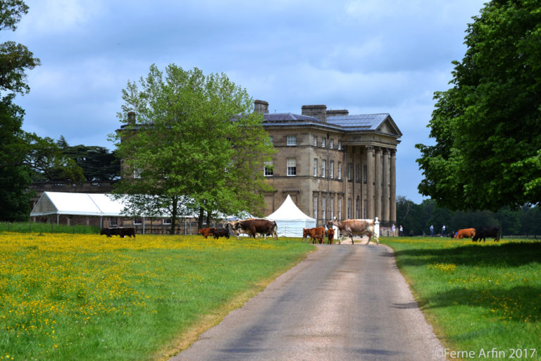 A History of Attingham Park in Words an Pictures - The View From Chelsea