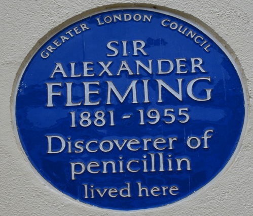 London Blue Plaque Chelsea Walk - The View From London