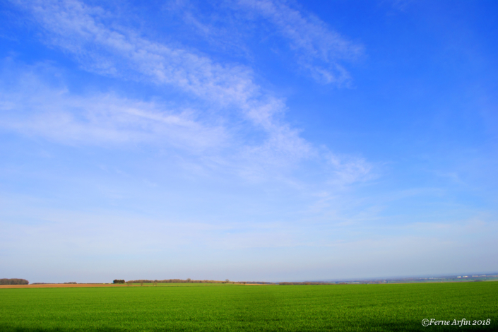 Wide Open Spaces - The View From Chelsea